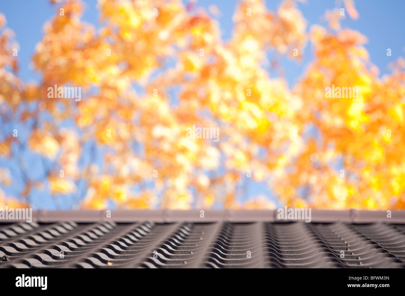 Tin roofing hi-res stock photography and images - Alamy