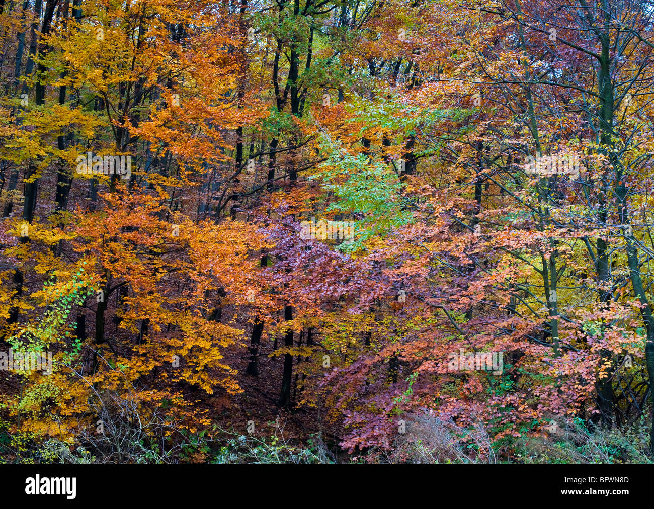 Color and patterns hi-res stock photography and images - Alamy