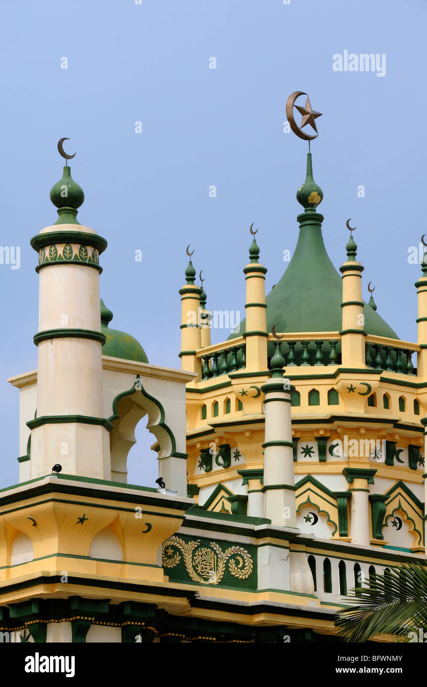 Little Mosque Rev Thorn