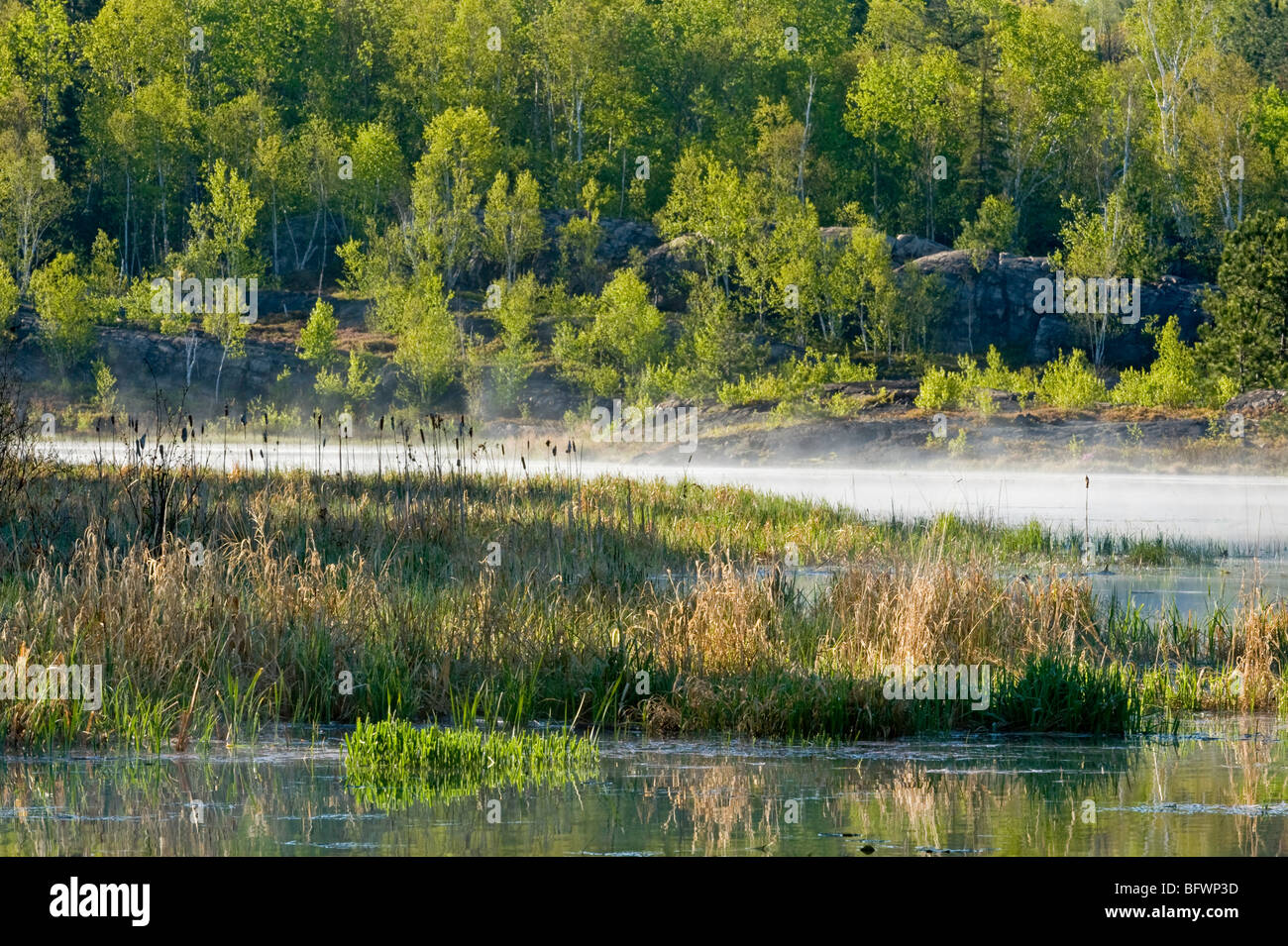 Ponds beaverponds hi-res stock photography and images - Alamy