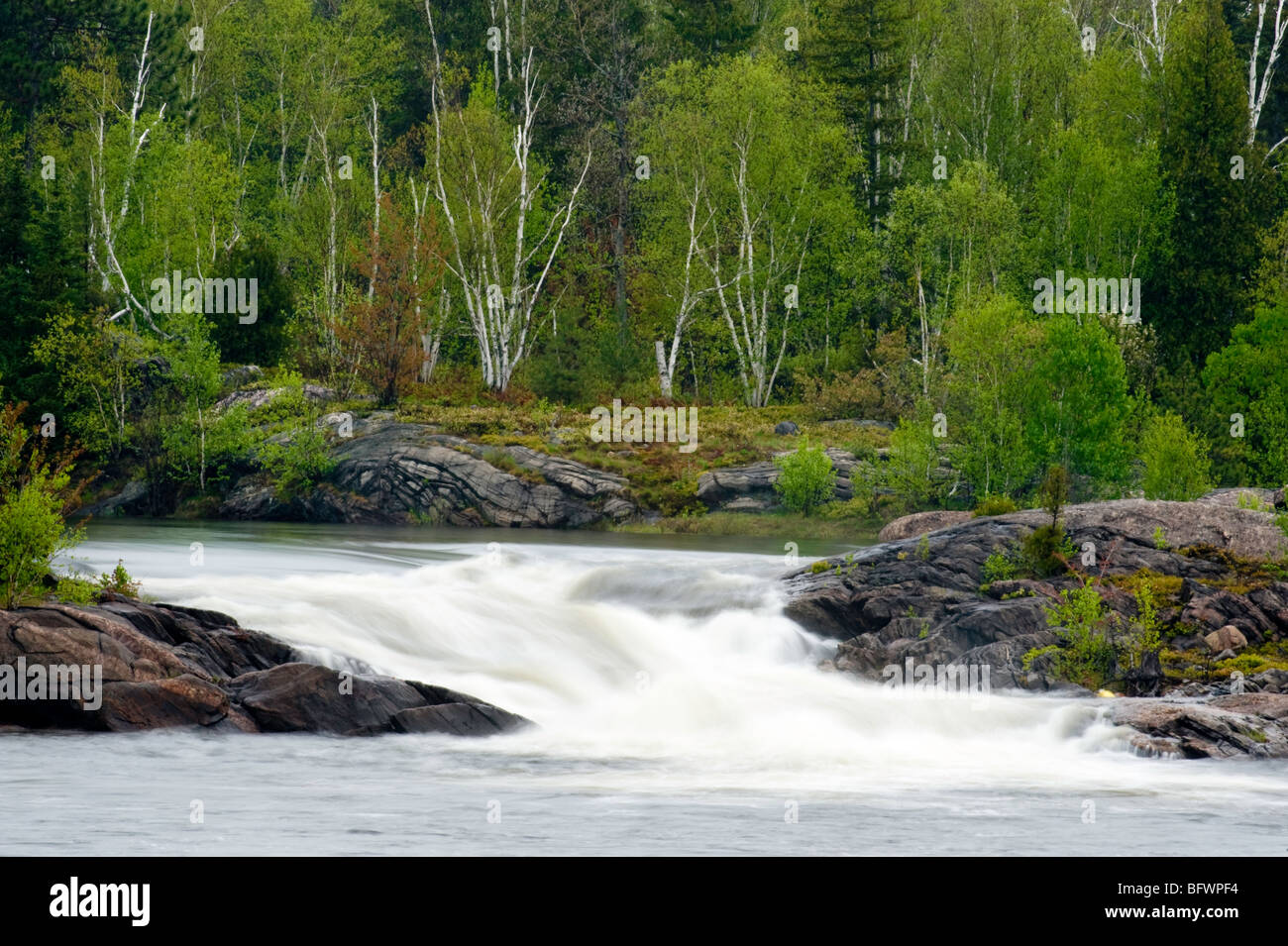Waterfall and rapids on the Wanapitei River in spring, Greater Sudbury ...
