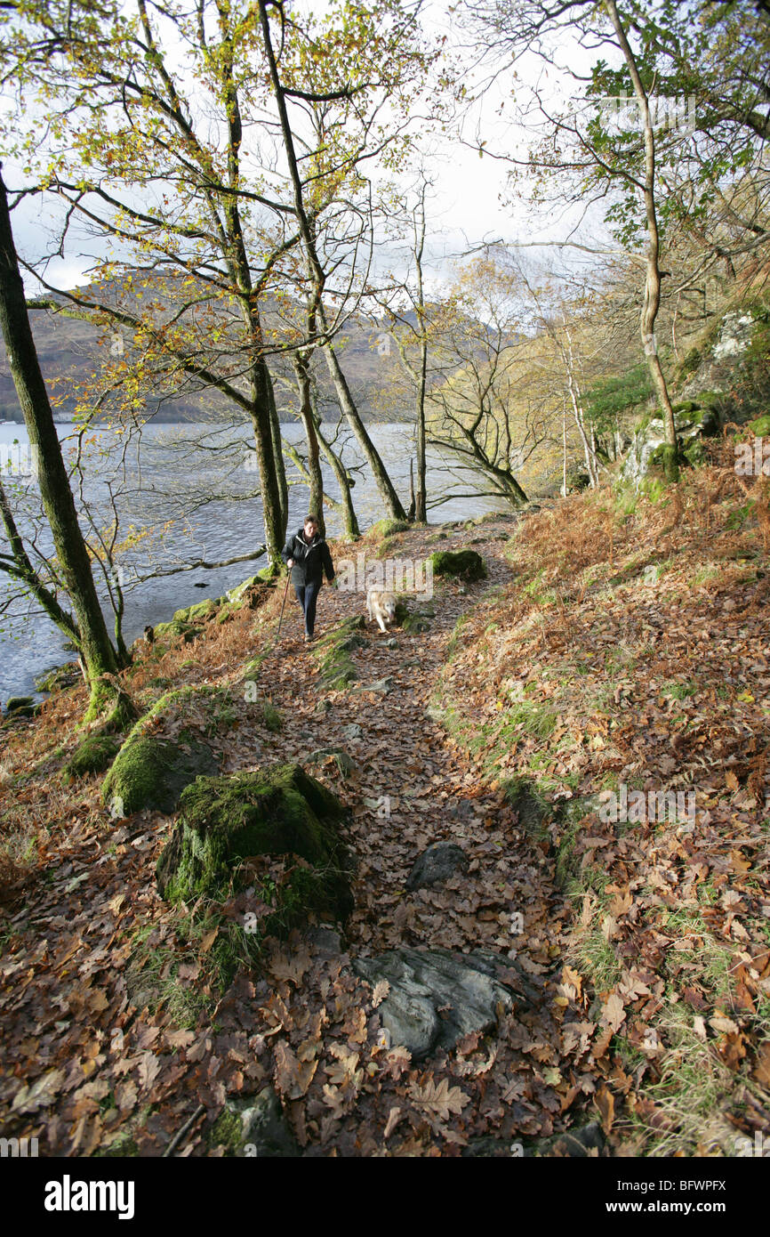 Area of Loch Lomond, Scotland. Autumn view of the West Highland Way ...