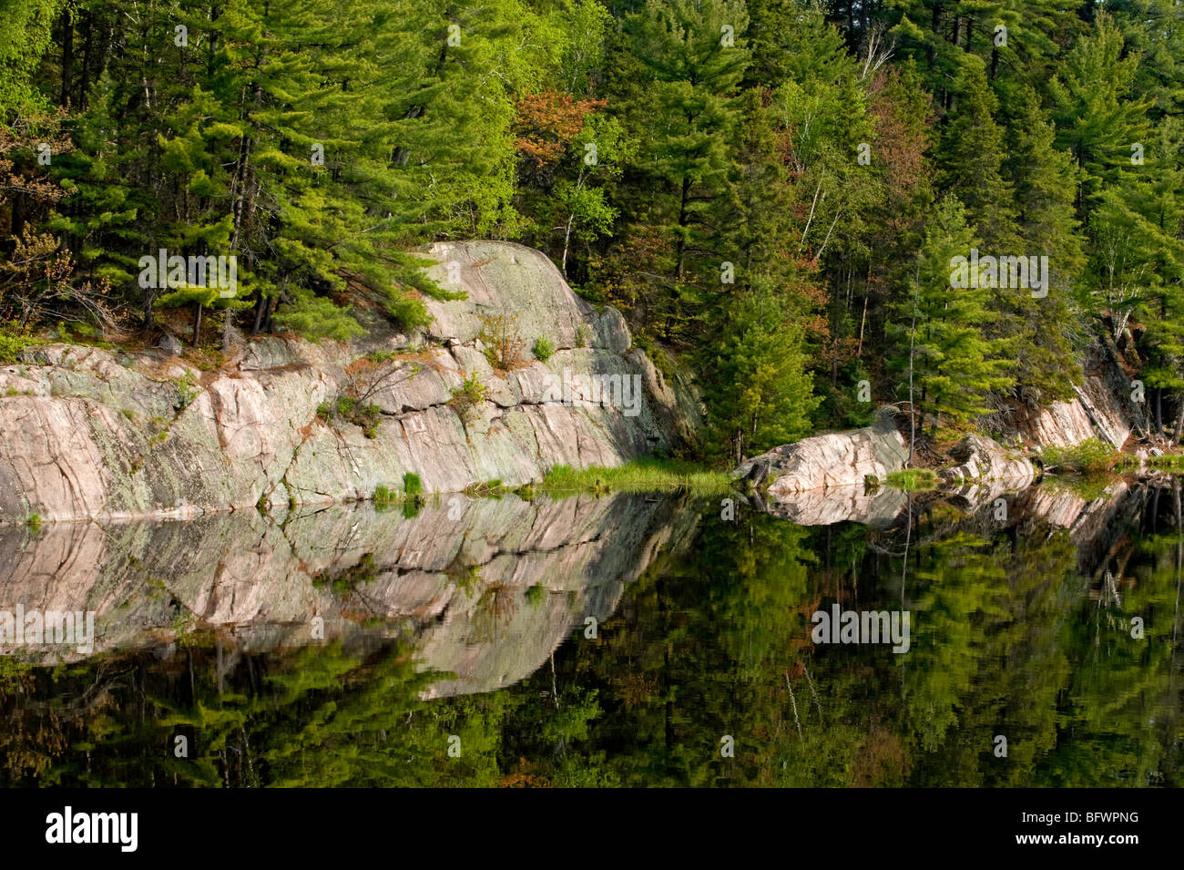 Rock outcrops reflected in beaverpond with white pines, Killarney ...
