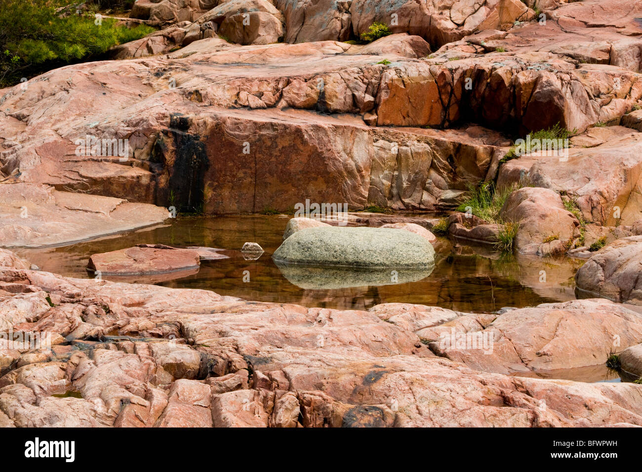 Vernal pool and red granite outcrops along shore of Lake Huron ...