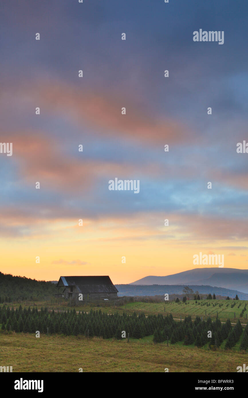 Tye River High Resolution Stock Photography and Images - Alamy