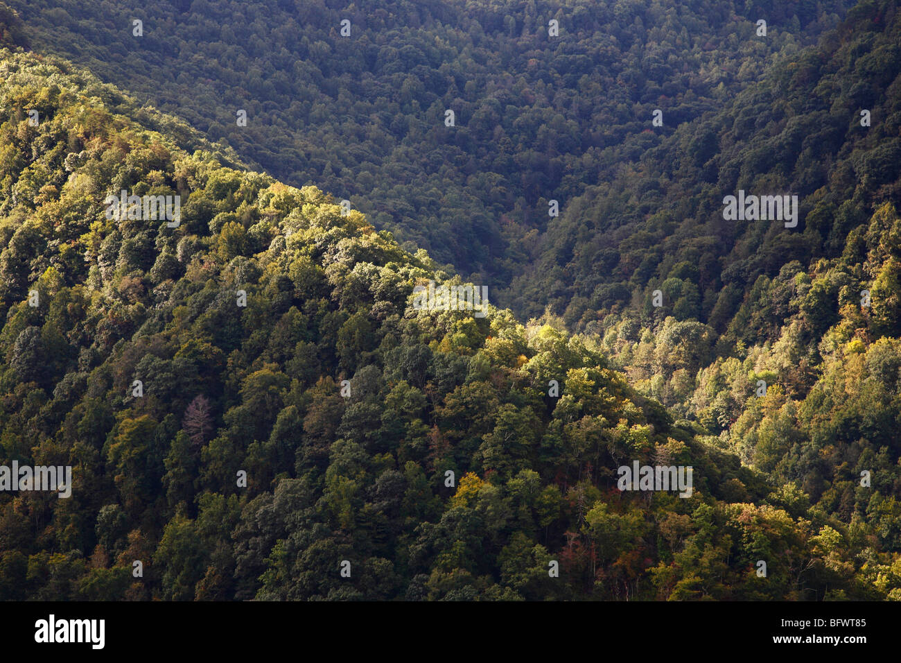 Fayetteville Fayette county West Virginia the New River landscape ...
