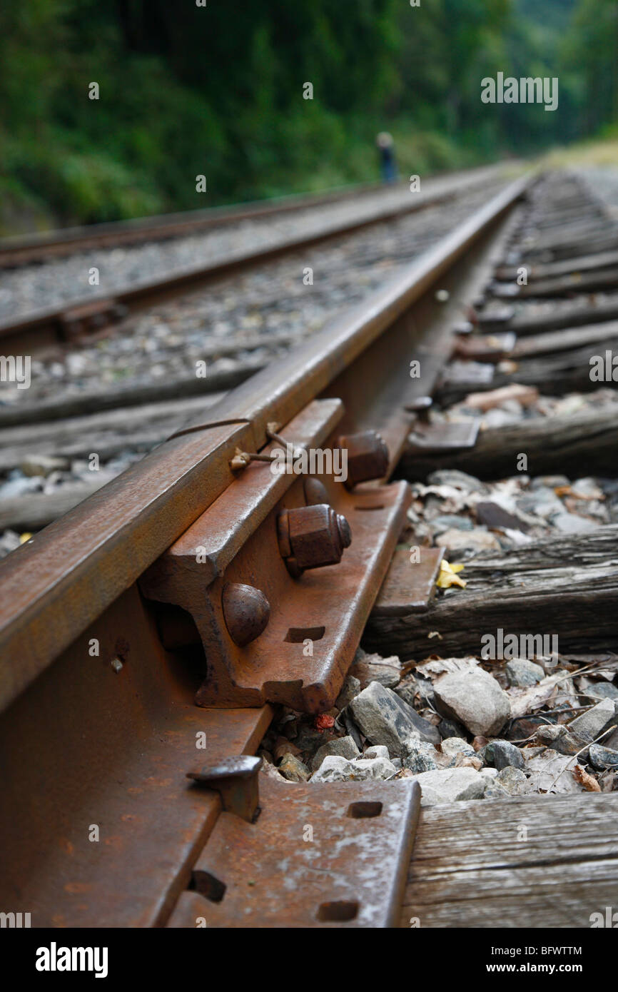 Close up closeup detail hi-res stock photography and images - Alamy