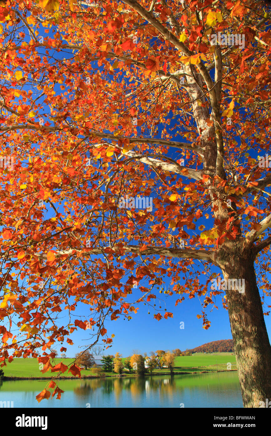 Silver Lake in Dayton, Shenandoah Valley, Virginia Stock Photo - Alamy