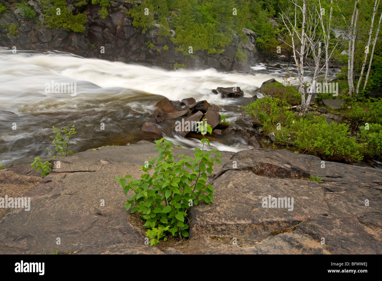 Rapids and standing waves in Onaping River above waterfall, Greater ...