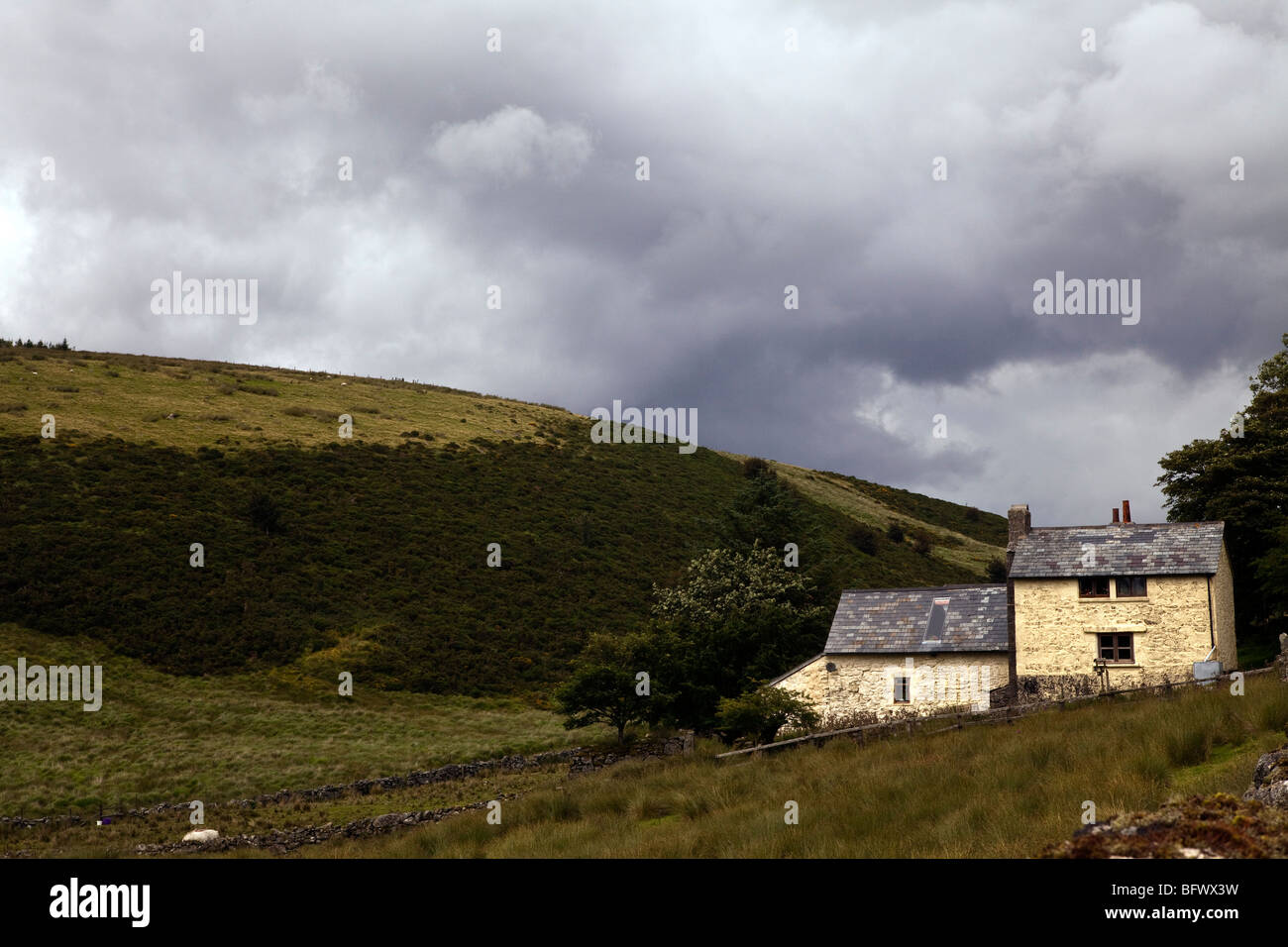 Moorland cottage dartmoor devon hi-res stock photography and images - Alamy