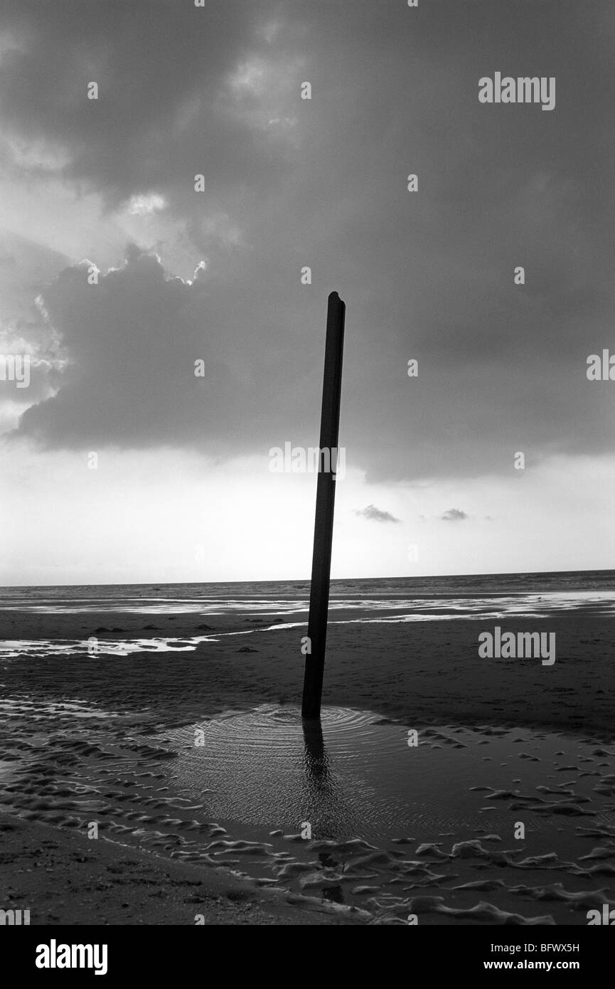 Stick in beach on ocean shore landscape Stock Photo - Alamy