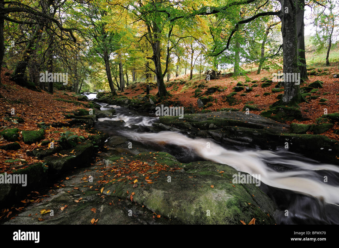 Cloghleagh River County Wicklow Ireland autumn fall color colour ...