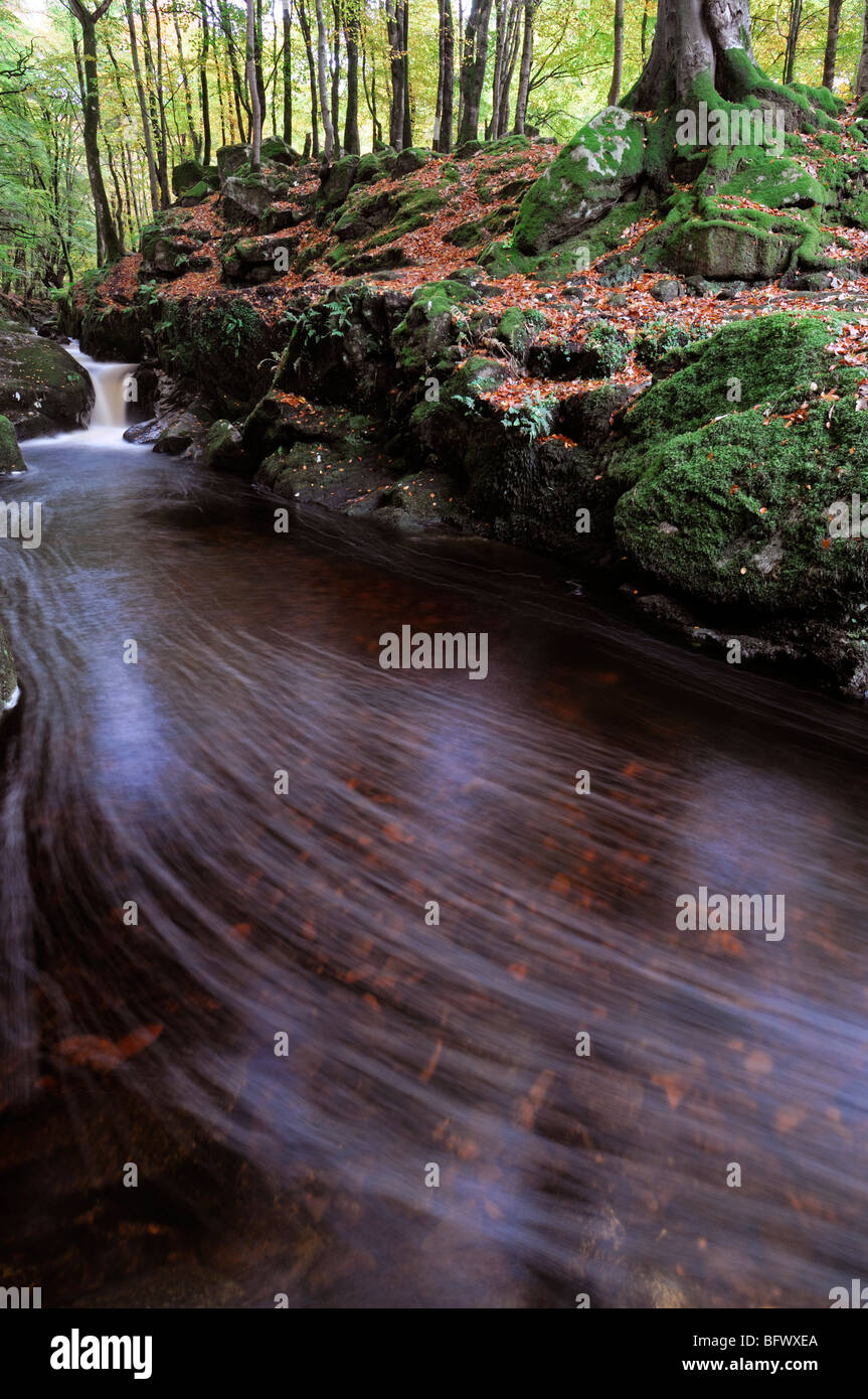 Cloghleagh River County Wicklow Ireland autumn fall color colour ...