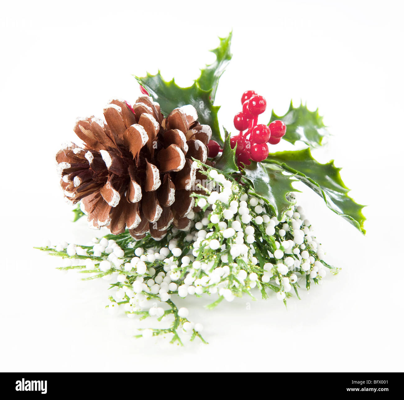 Holly cone hi-res stock photography and images - Alamy