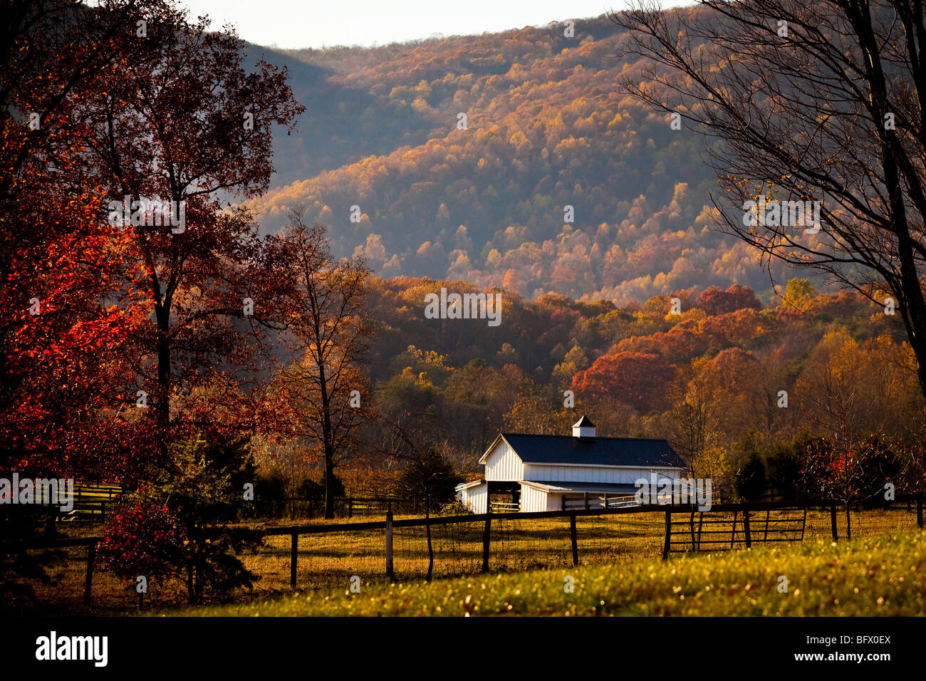Autumn foliage around a farm in the Shenandoah Valley outside ...