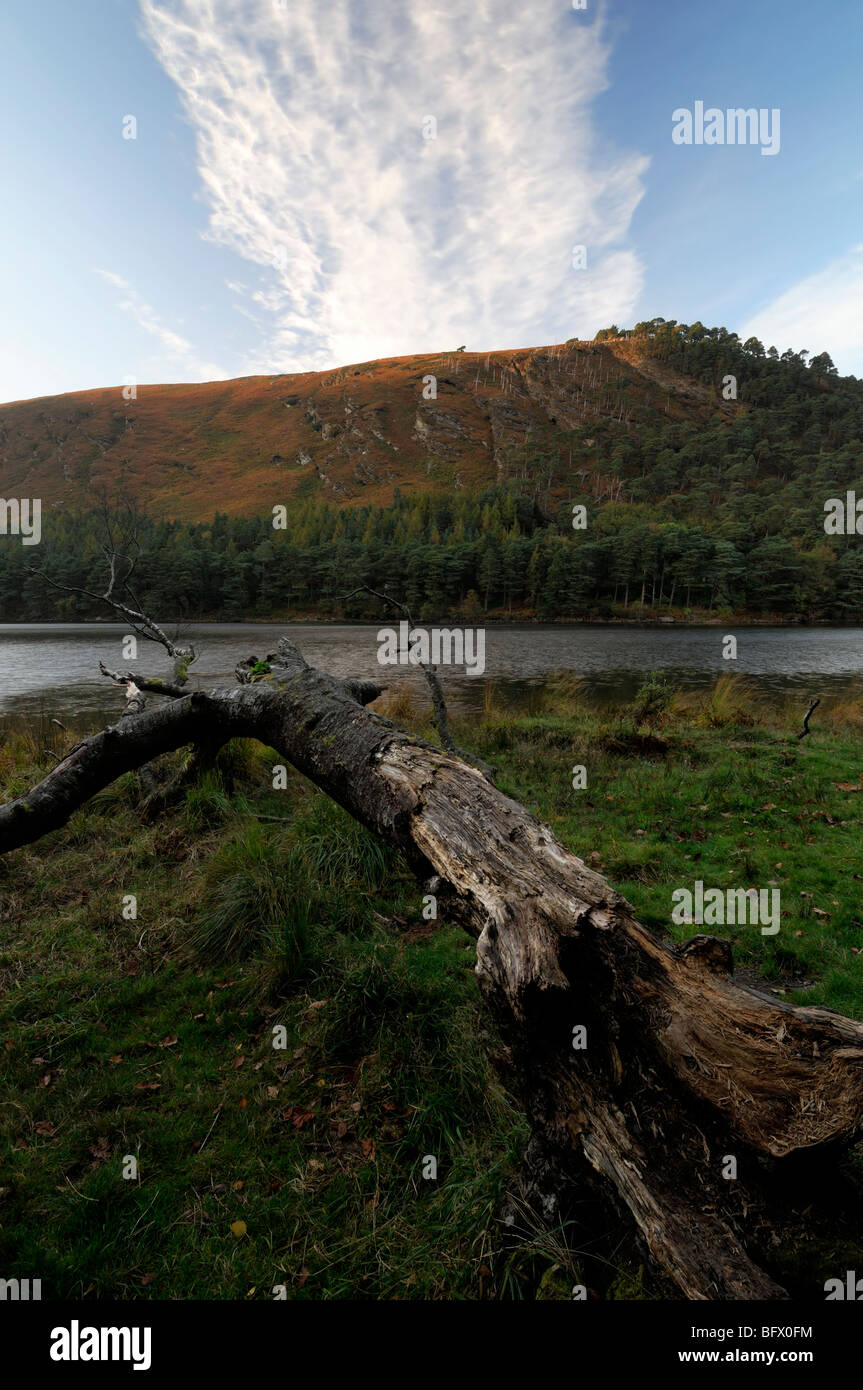 Upper lake Glendalough County Wicklow Ireland autumn fall color colour ...
