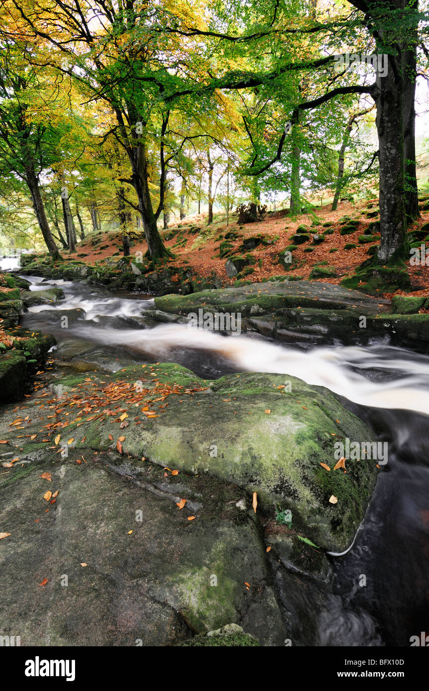 Cloghleagh River County Wicklow Ireland autumn fall color colour ...