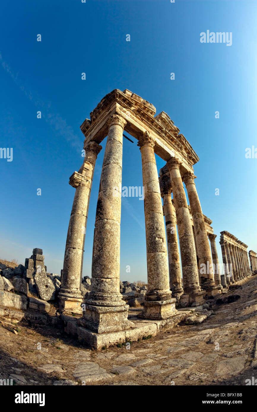 Pompey made Apamea (Apameia) or Afamia (Arabic) part of the Roman ...