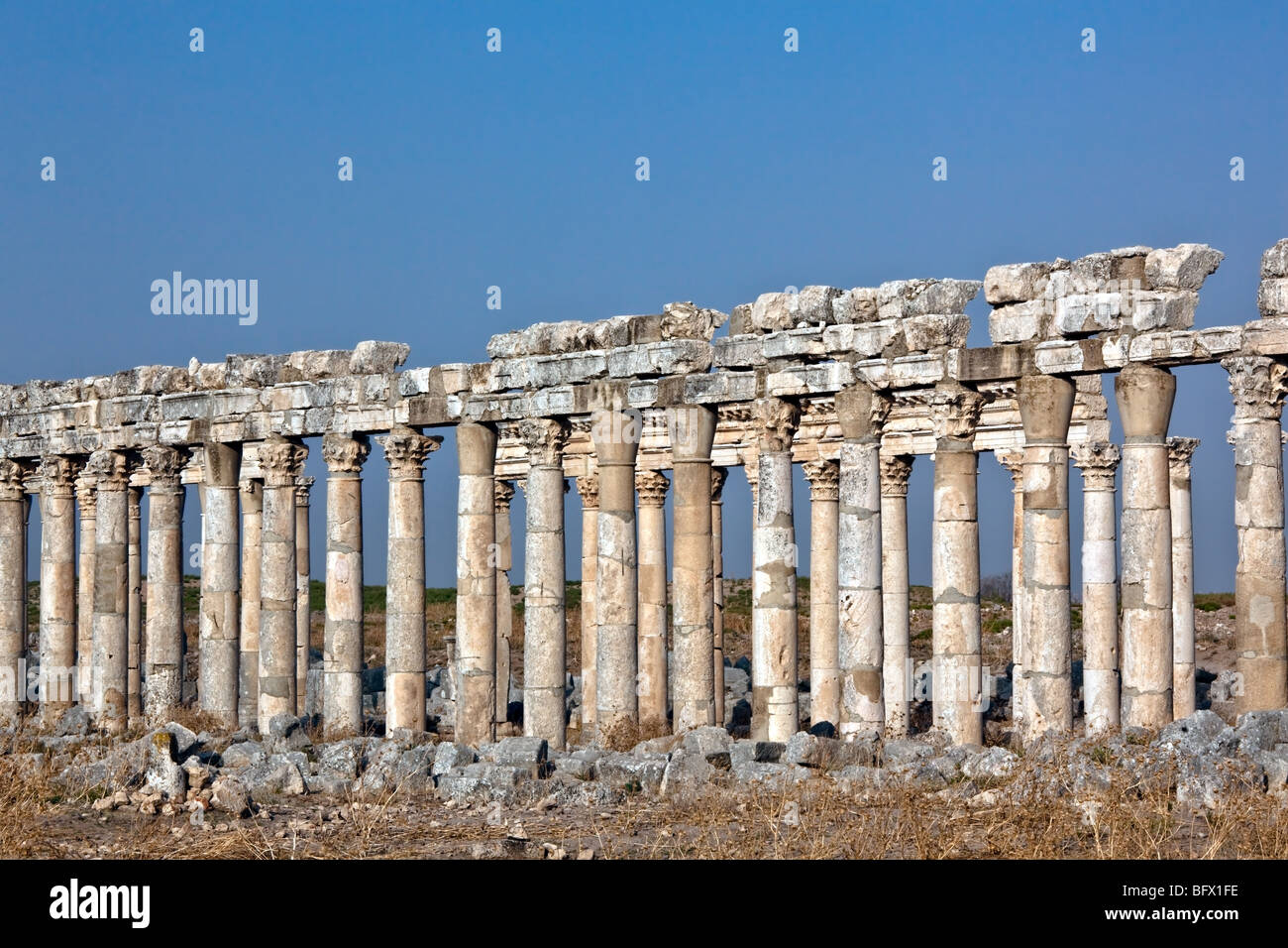 Pompey made Apamea (Apameia) or Afamia (Arabic) part of the Roman ...