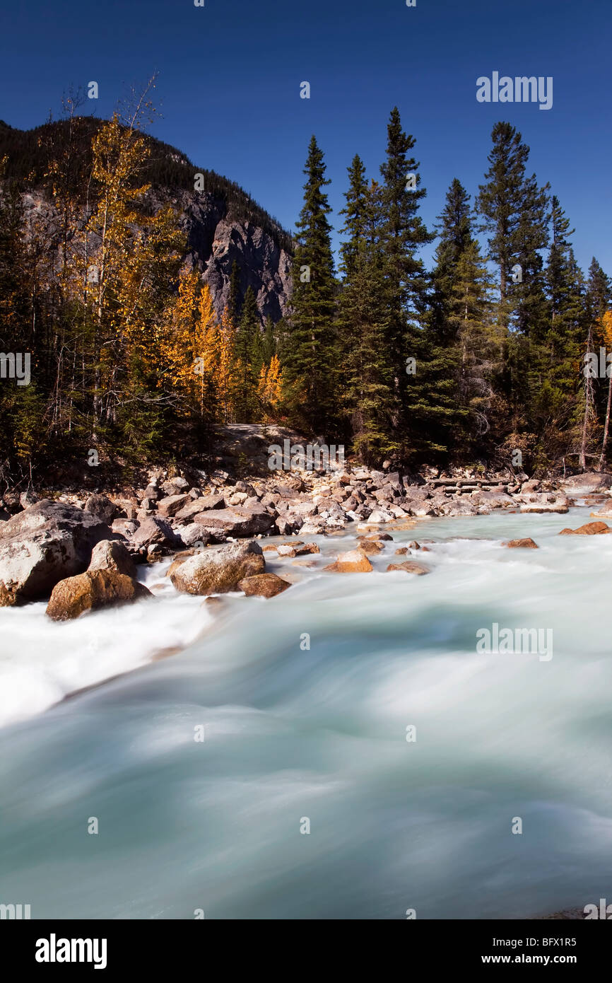 The raging waters of the Yoho river in Alberta's Yoho national park ...