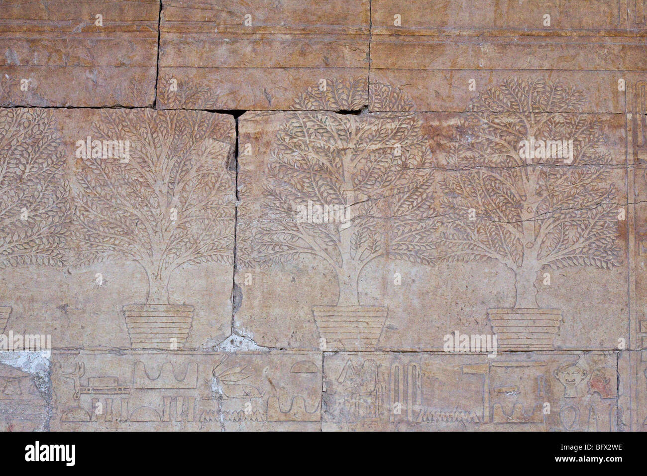 Hatshepsut wall carving punt hi-res stock photography and images - Alamy