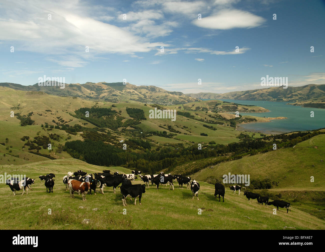 View of Akaroa Harbour from Summit Road Stock Photo - Alamy