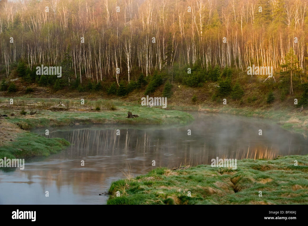 Spring Tree reflections in Junction Creek at dawn, Greater Sudbury ...