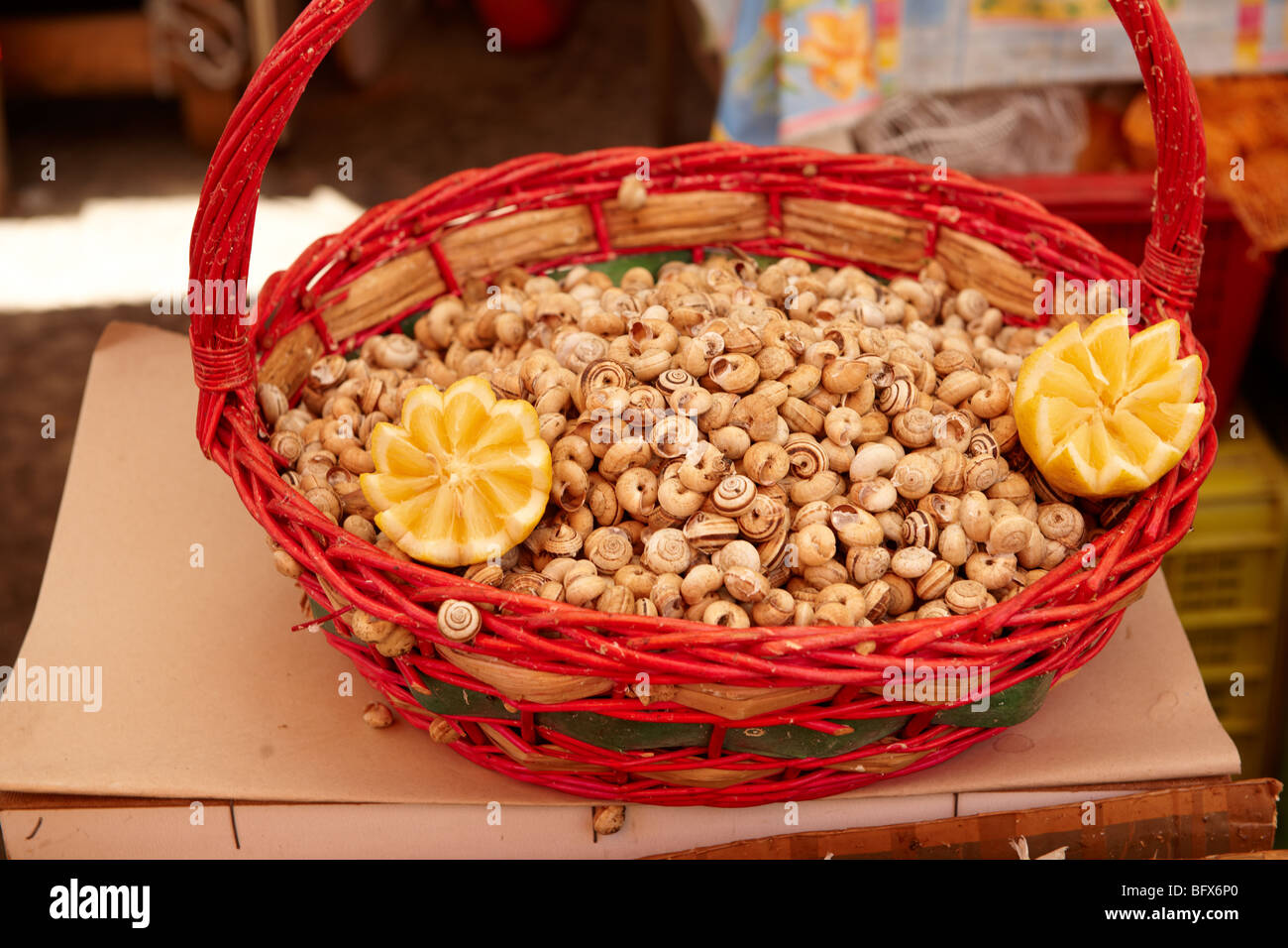 Live edible snails, Palermo food market, Sicily Stock Photo - Alamy