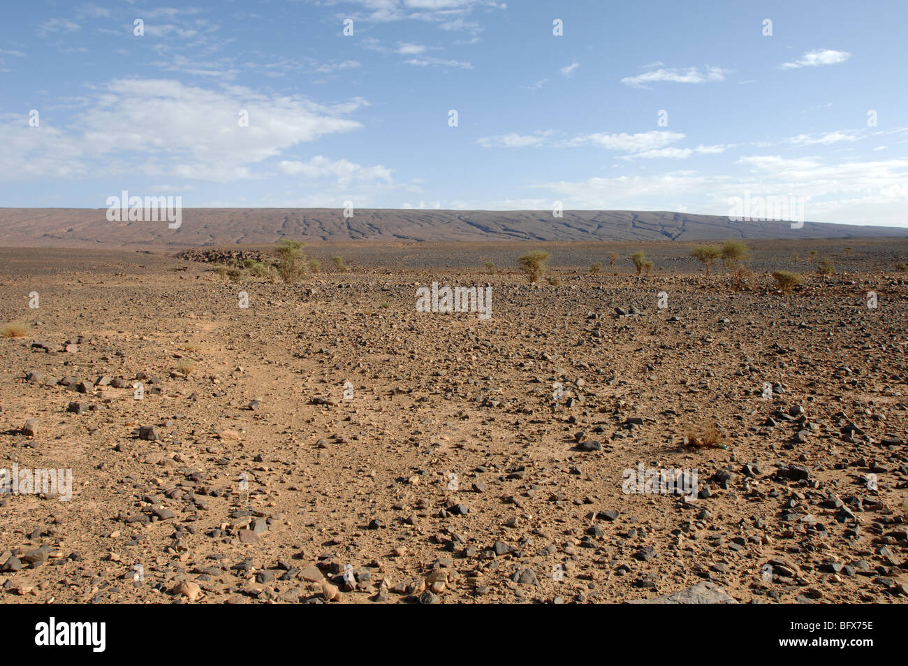 A landscape of the sahara desert in Morocco Stock Photo - Alamy
