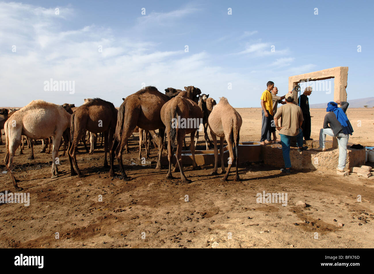 Berber people with camels in the sahara desert in morocco Stock Photo ...