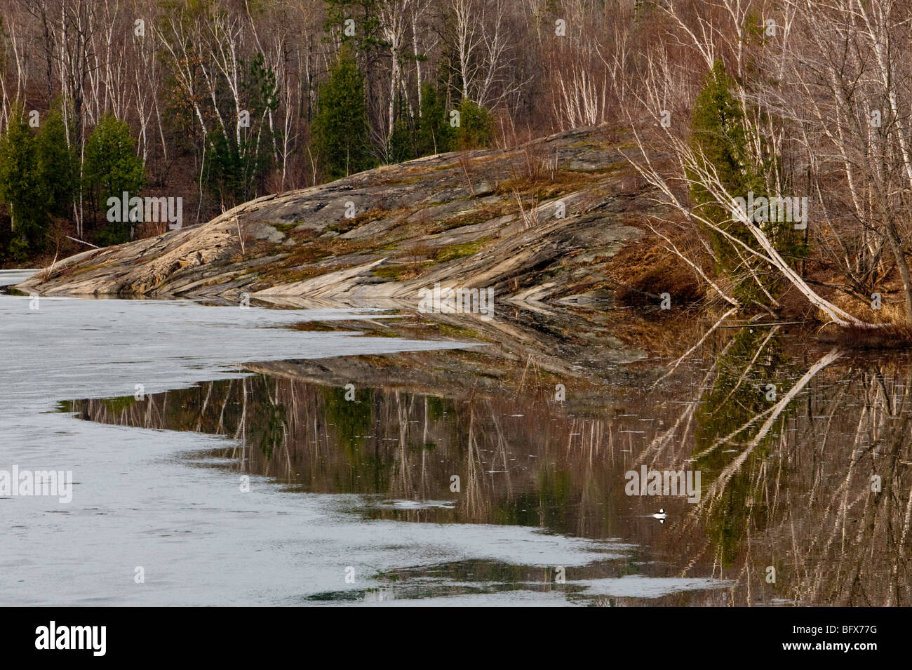 Shoreline reflections in open water with melting ice on Simon Lake ...
