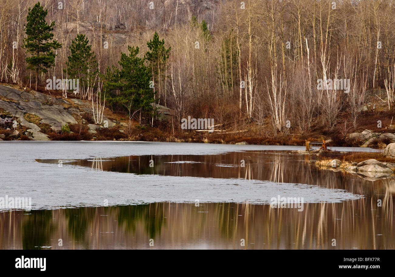Melting pond ice hi-res stock photography and images - Alamy