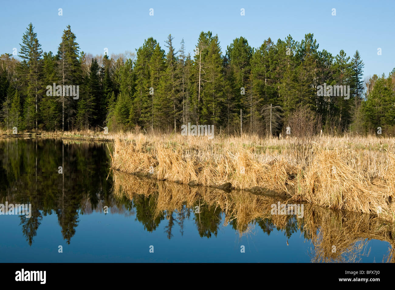Ponds beaverponds hi-res stock photography and images - Alamy