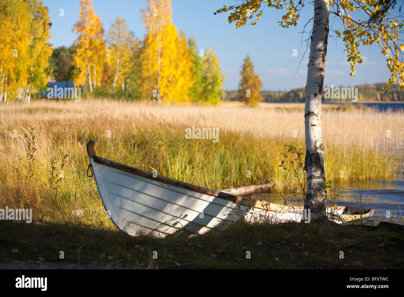 Beached rowboat at lake shore , Finland Stock Photo - Alamy