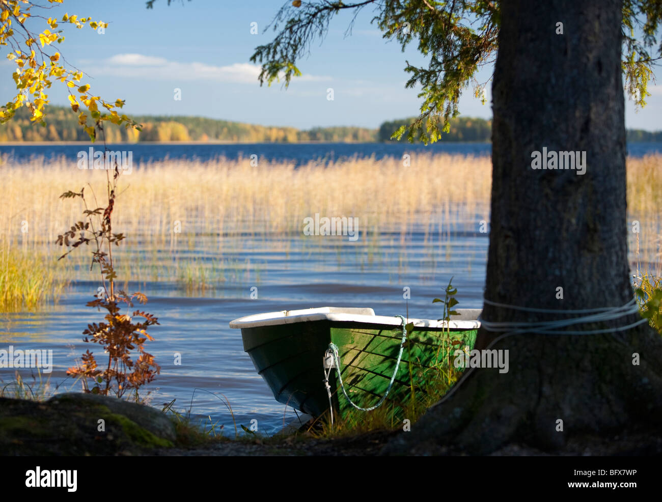 Beached rowboat at lake shore , Finland Stock Photo - Alamy
