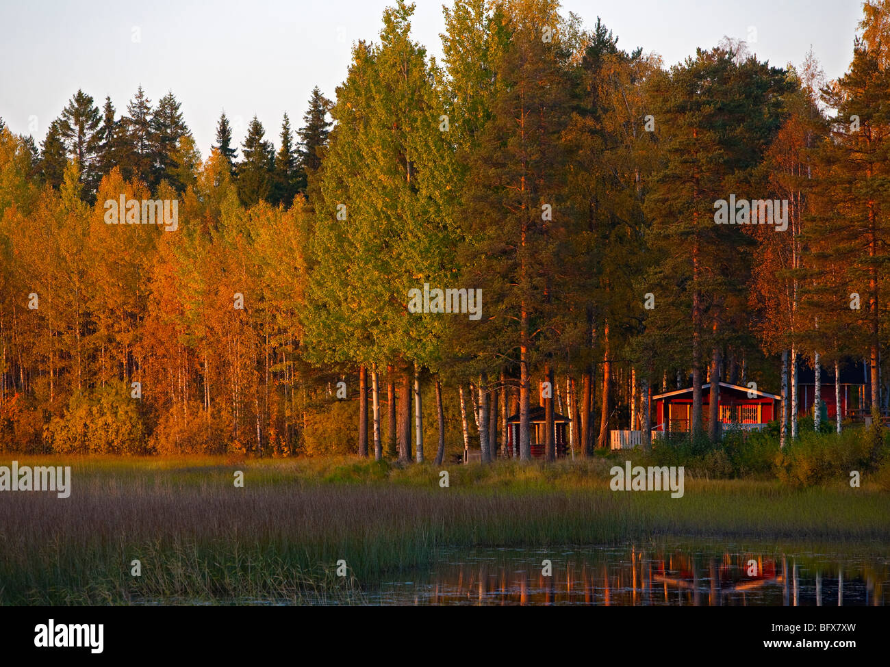 Sauna by lake at sunset , Finland Stock Photo - Alamy