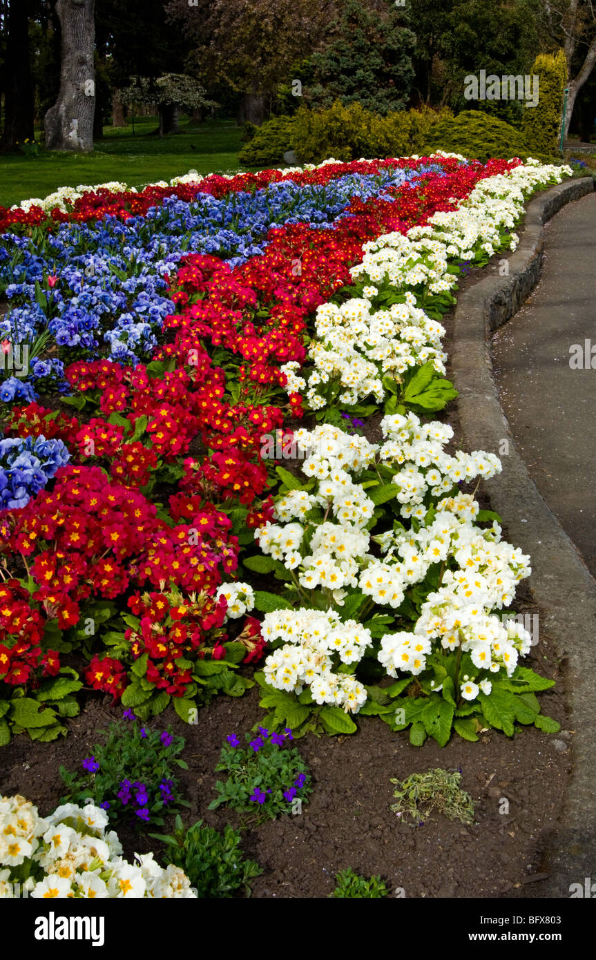 Beacon hill park spring victoria hi-res stock photography and images ...