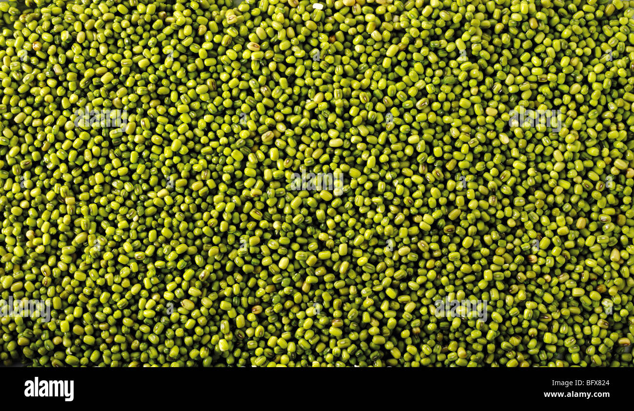 Whole mung beans, or green gram, maash, moong - close up full frame top ...