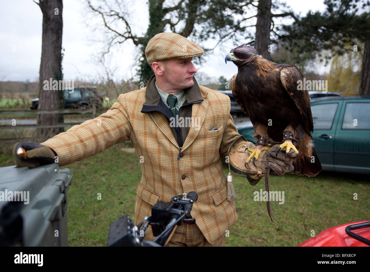 Professional falconer hi-res stock photography and images - Alamy