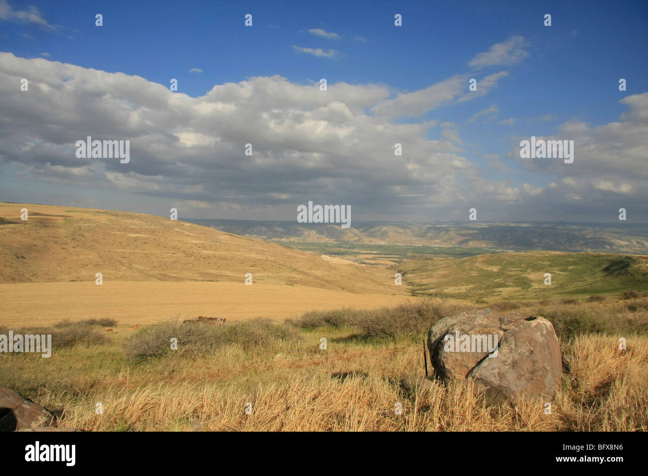 Gilead hi-res stock photography and images - Alamy