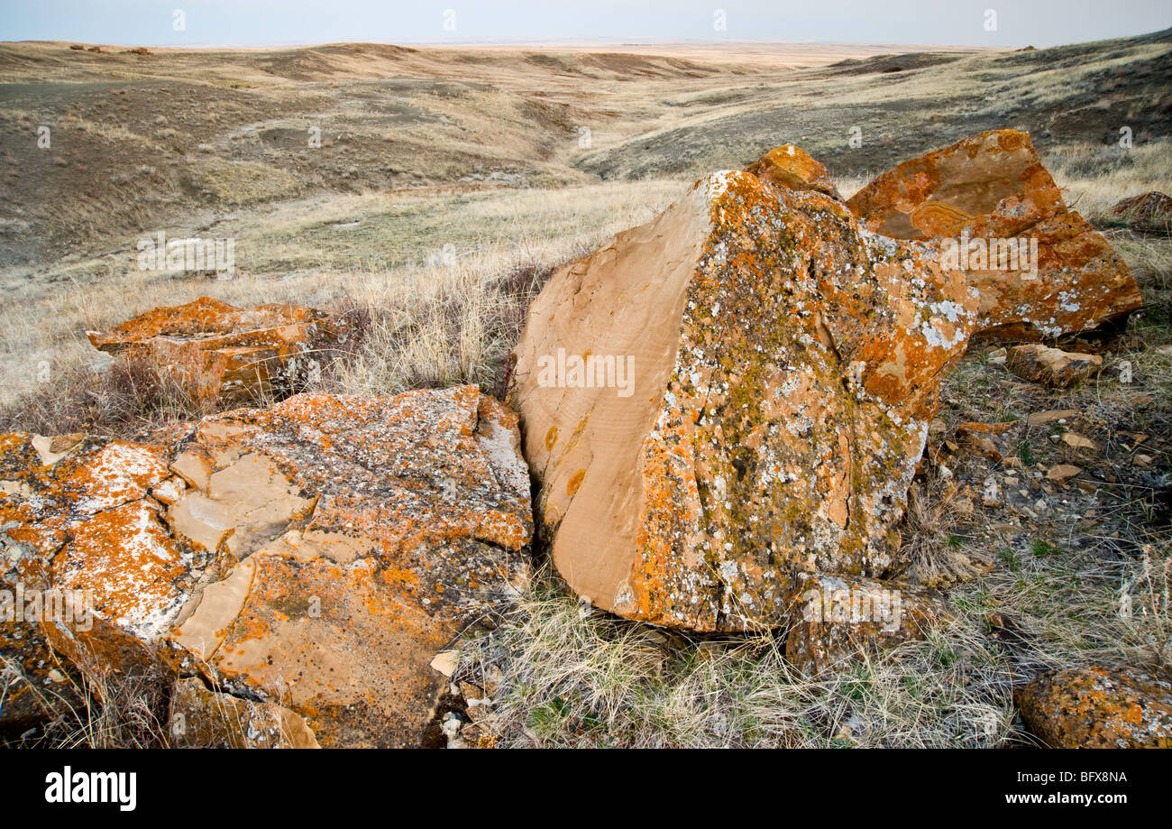 Semi Arid Landscape Stock Photos & Semi Arid Landscape Stock Images - Alamy