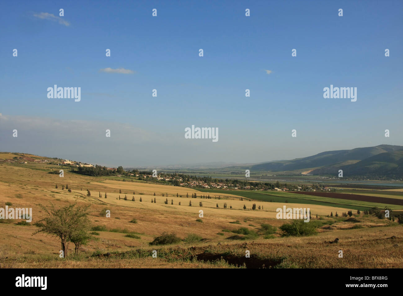 Israel, Issachar Heights. A view of Kibbutz Beth Hashita and Harod ...