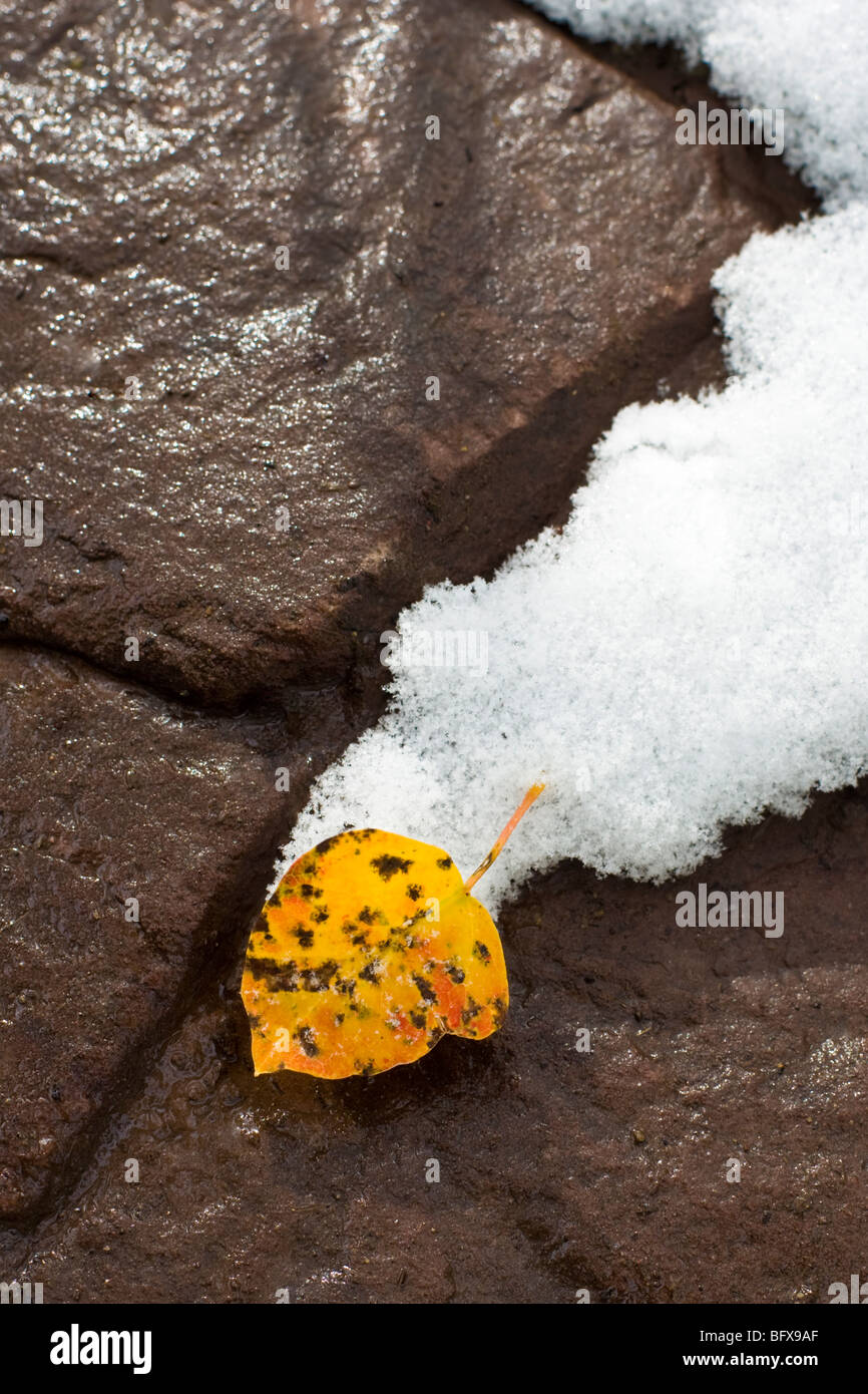 Rocky floor hi-res stock photography and images - Alamy