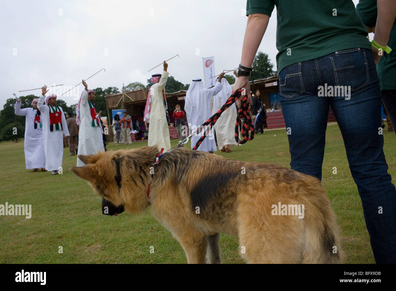 Alsation dog hi-res stock photography and images - Alamy