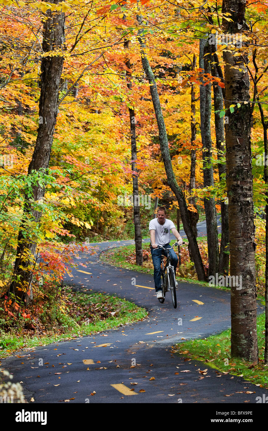 Cycling in autumn forest hi-res stock photography and images - Alamy