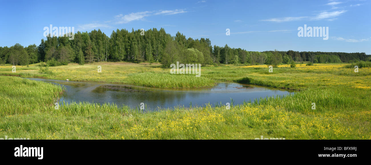 Panorama from 5 pictures, a landscape with a meadow and a stream Stock ...