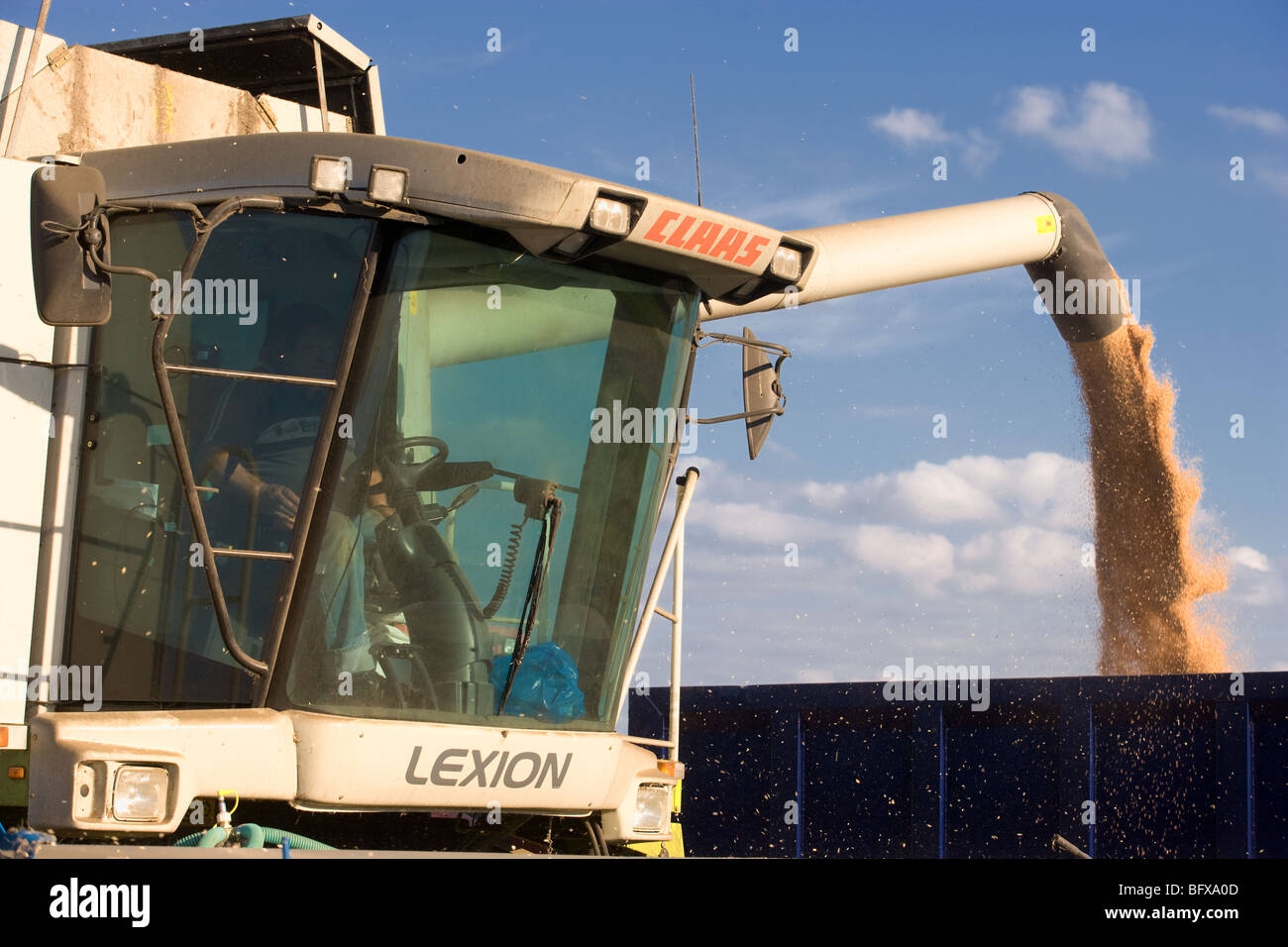 Combine Harvester Emptying Grain Stock Photo - Alamy
