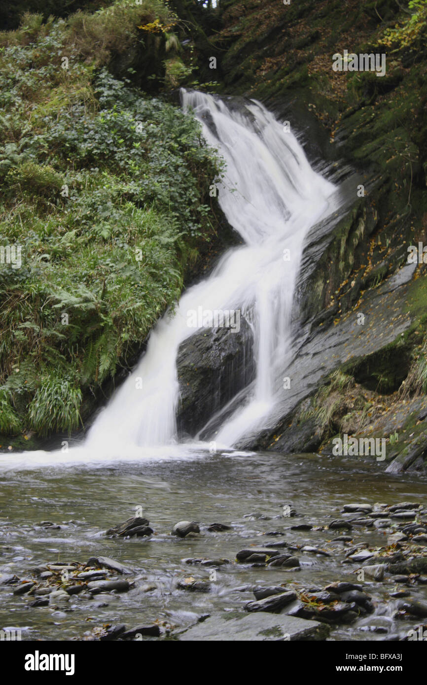 Hafod falls near Aberystwyth Stock Photo - Alamy