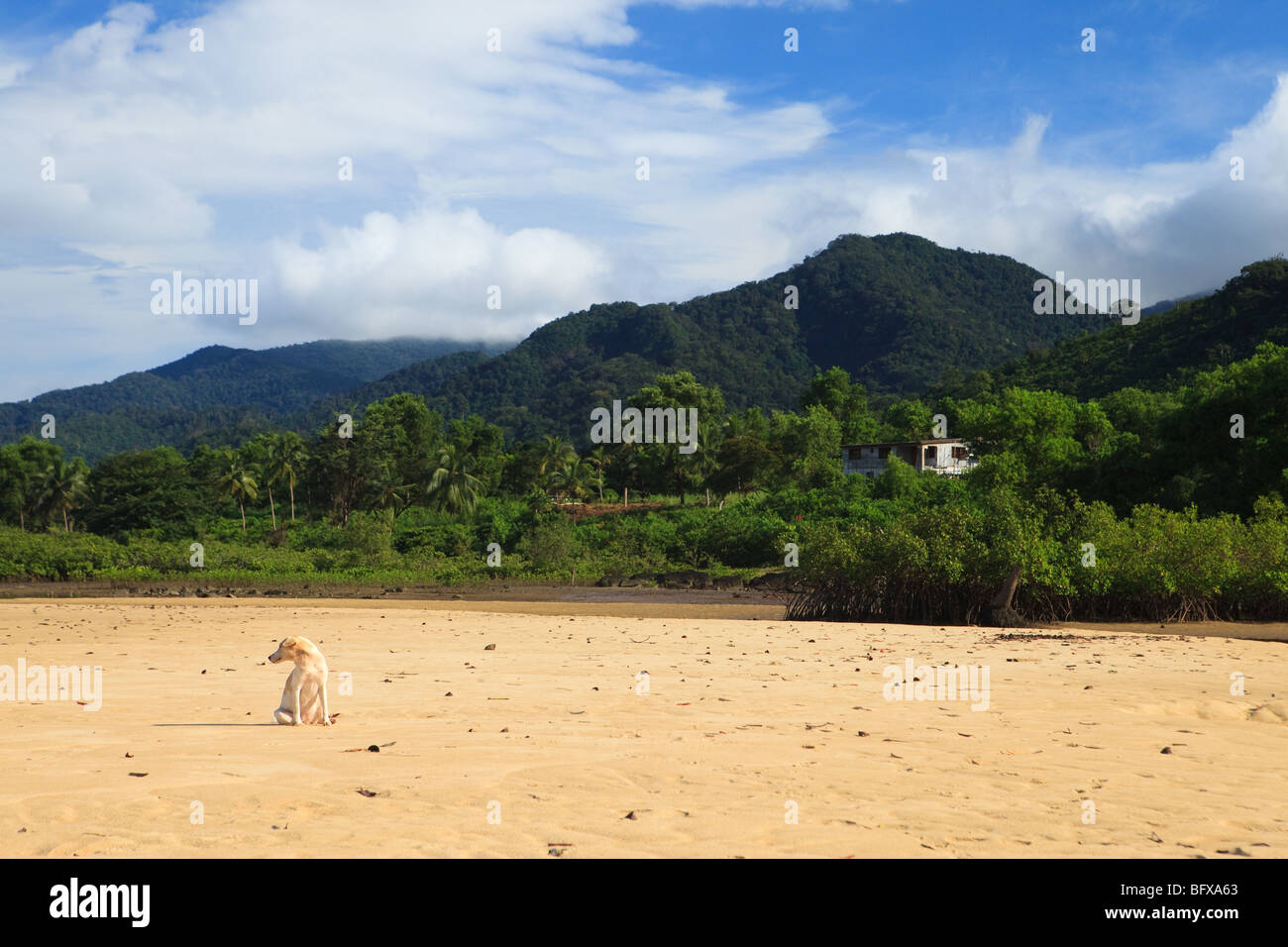 Sussex Beach, Freetown Peninsula, Sierra Leone Stock Photo - Alamy