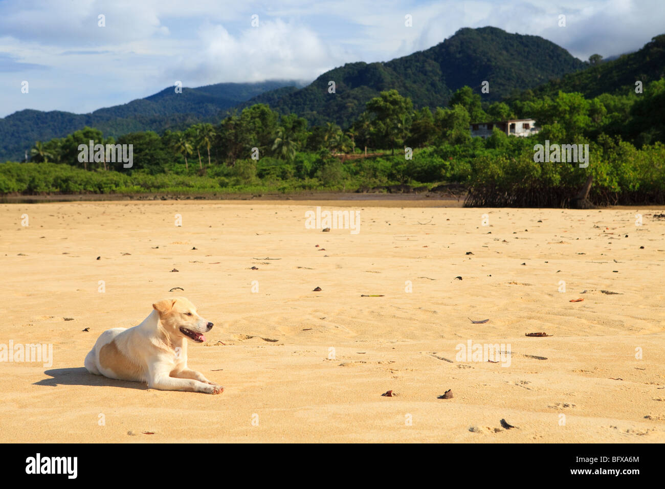 Sussex Beach, Freetown Peninsula, Sierra Leone Stock Photo - Alamy